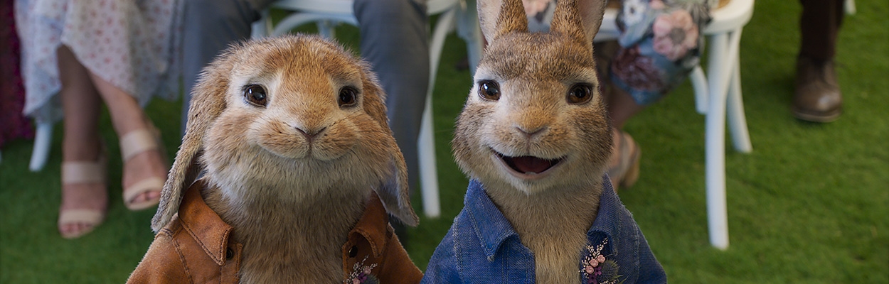 peter rabbit 2
